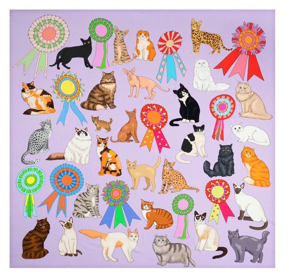 Behind the Print: Cat Show | Karen Mabon Ltd